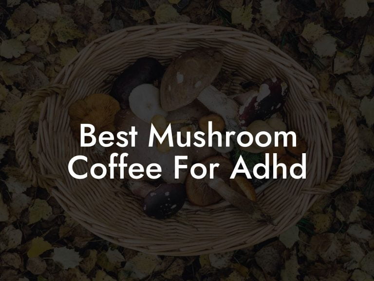 Best Mushroom Coffee For Adhd - Mr Mushroom