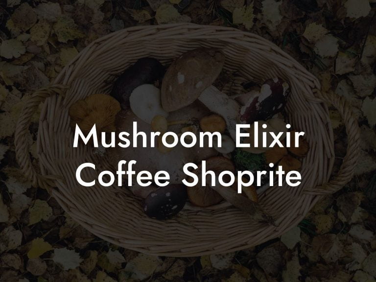 Mushroom Elixir Coffee Shoprite - Mr Mushroom