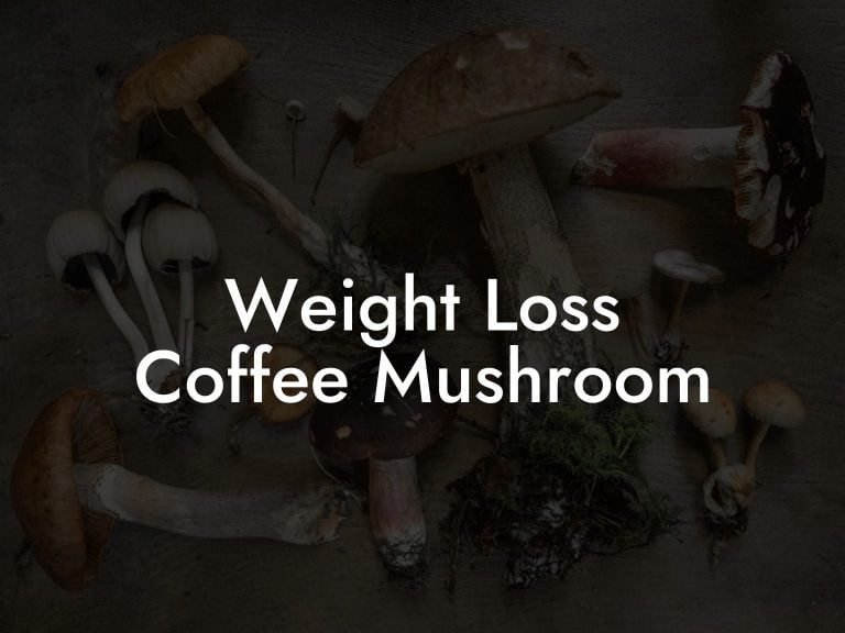 Weight Loss Coffee Mushroom - Mr Mushroom Weight Loss Coffee Mushroom - Mr Mushroom