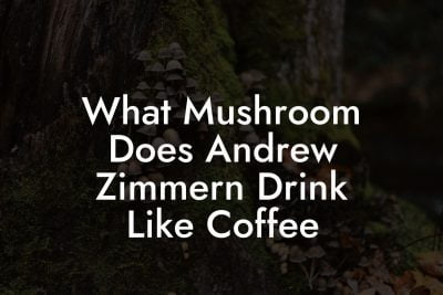 Mushroom Coffee Nespresso Pods - Mr Mushroom